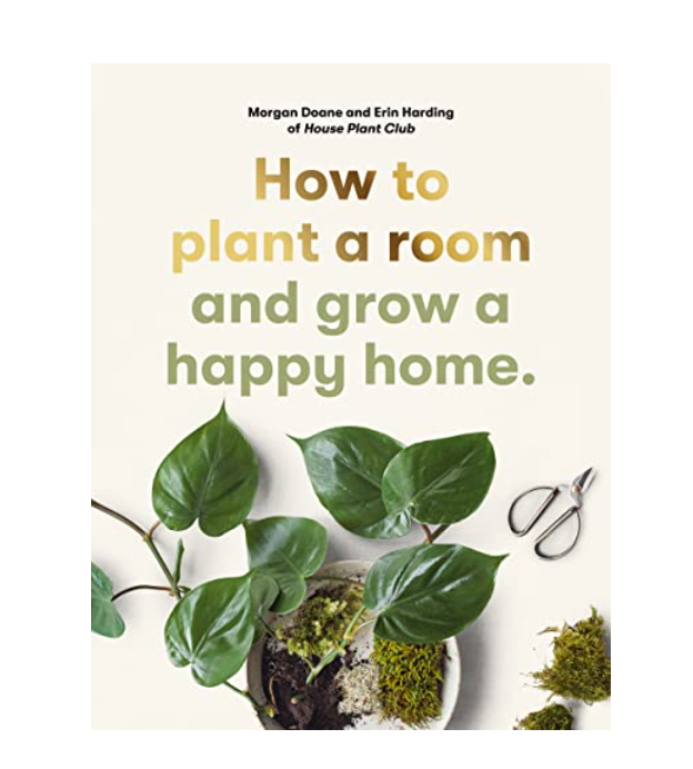 How to plant a room and grow a happy home book | Flora