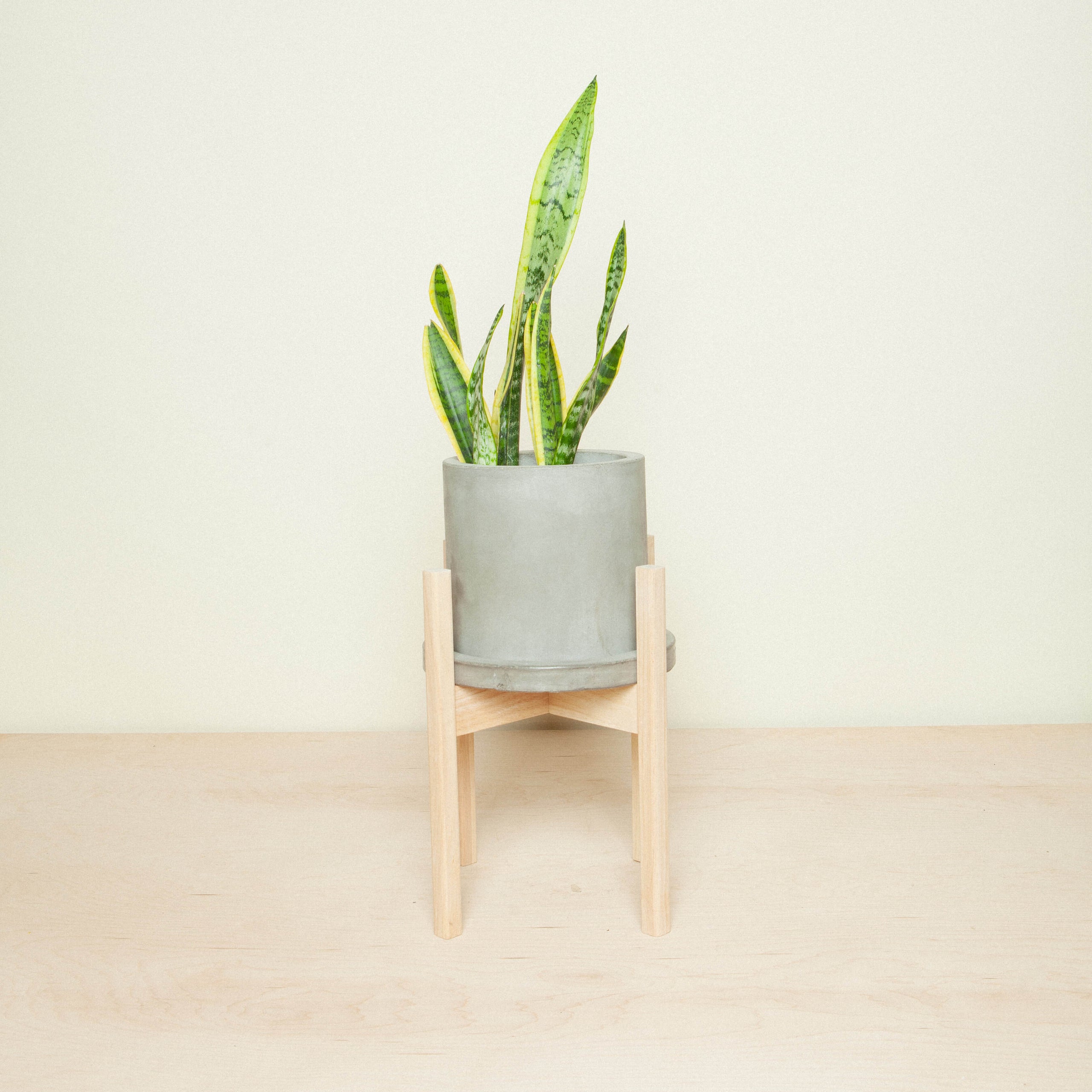 Standard Plant Stand | Flora